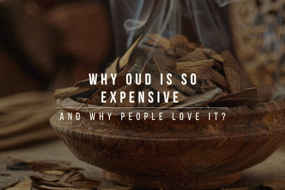 Why Oud Is So Expensive (And Why People Love It) – HVNLY