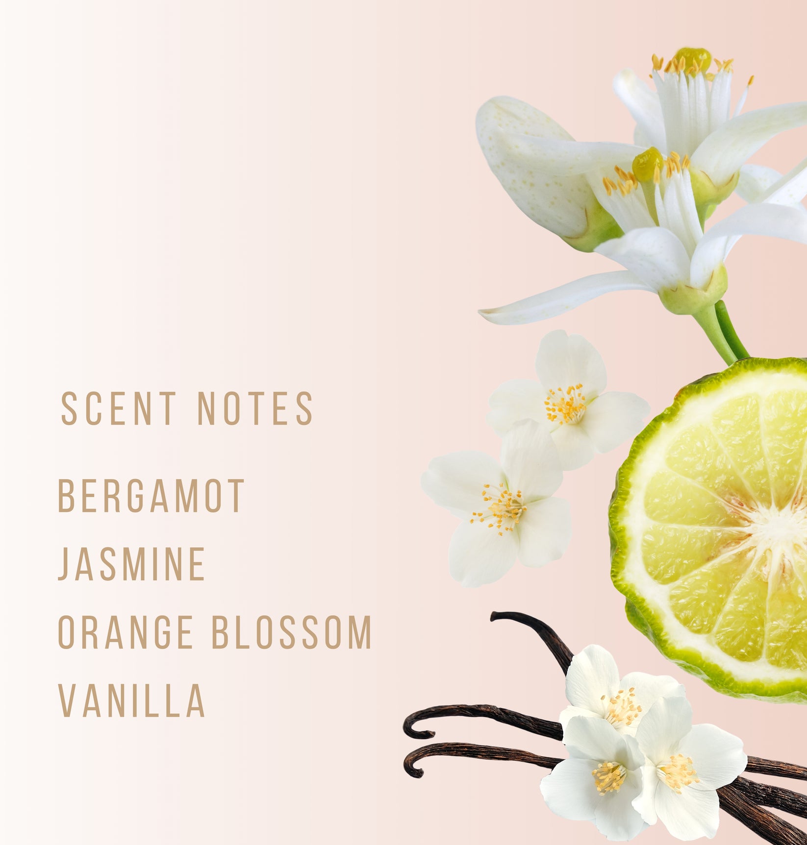 Buy Grace Perfume for Women Online | Eau de Parfum (EDP) - HVNLY
